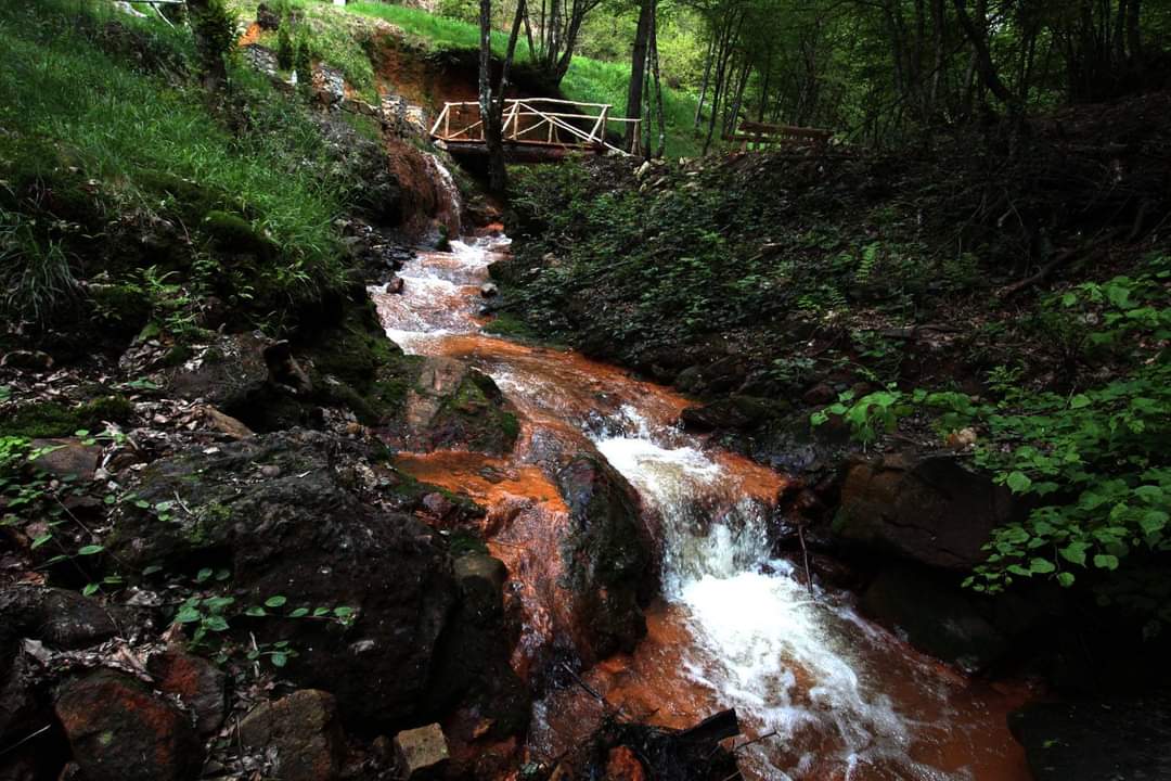 Presušuju ljekoviti izvori Gubera (FOTO) - BH Reporter
